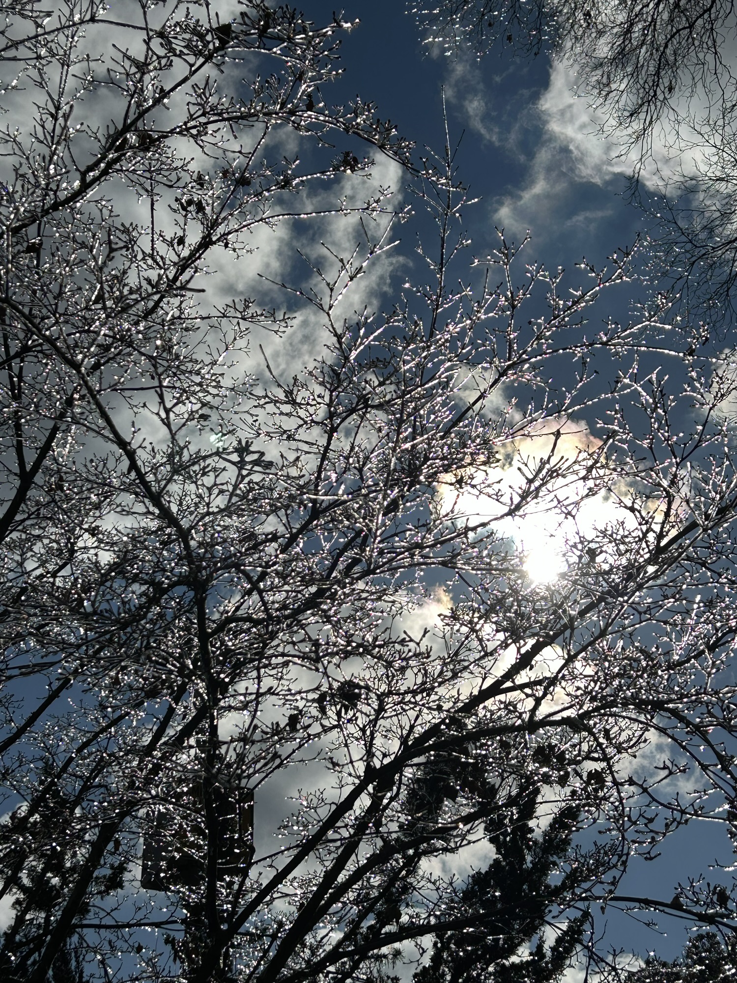May Our Words Matter – Kelly Deeny